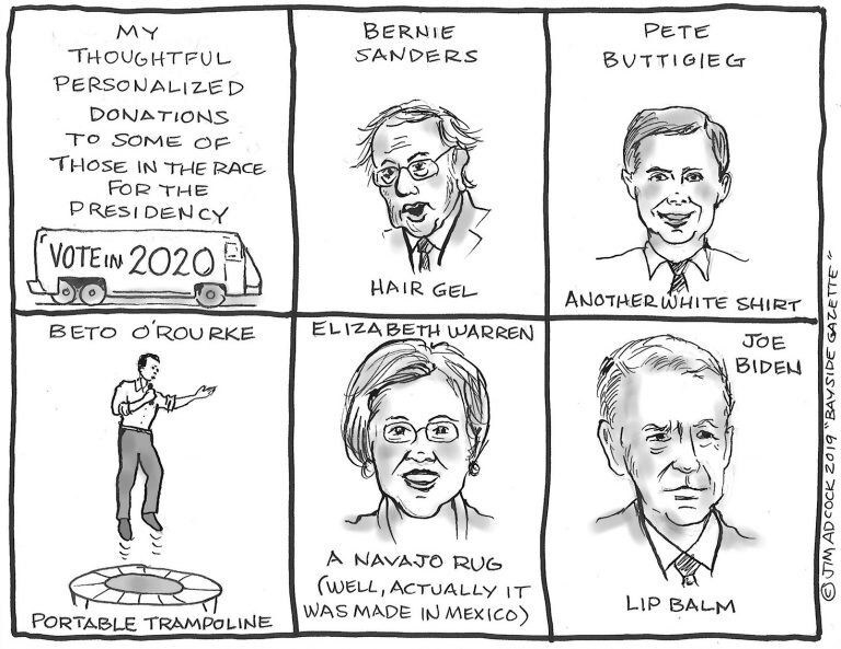 Editorial Cartoon: 2020 election - Worcester County News Bayside Gazette