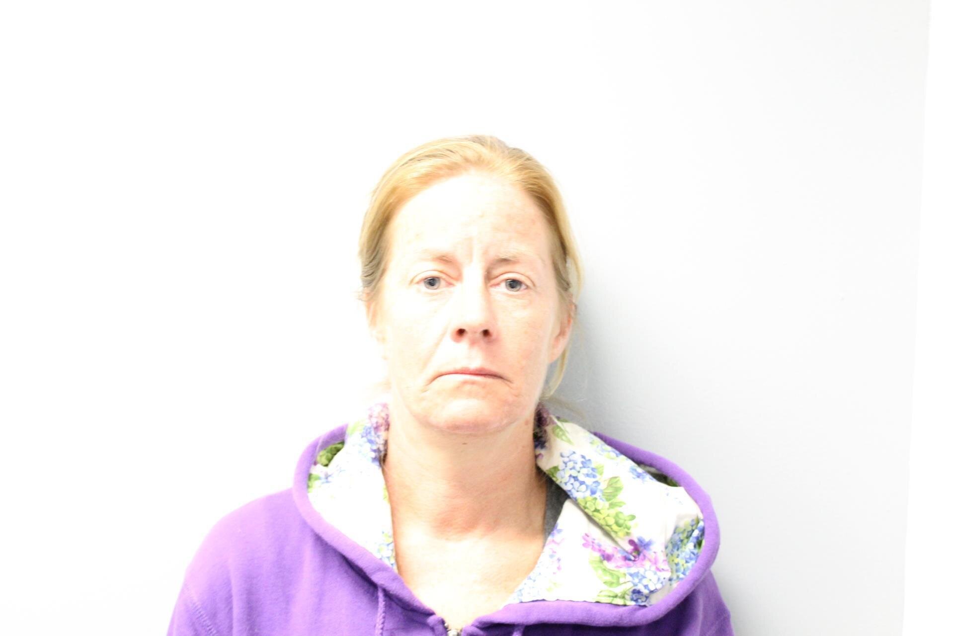 Burglary suspect in OP reportedly homeless woman - Worcester County ...