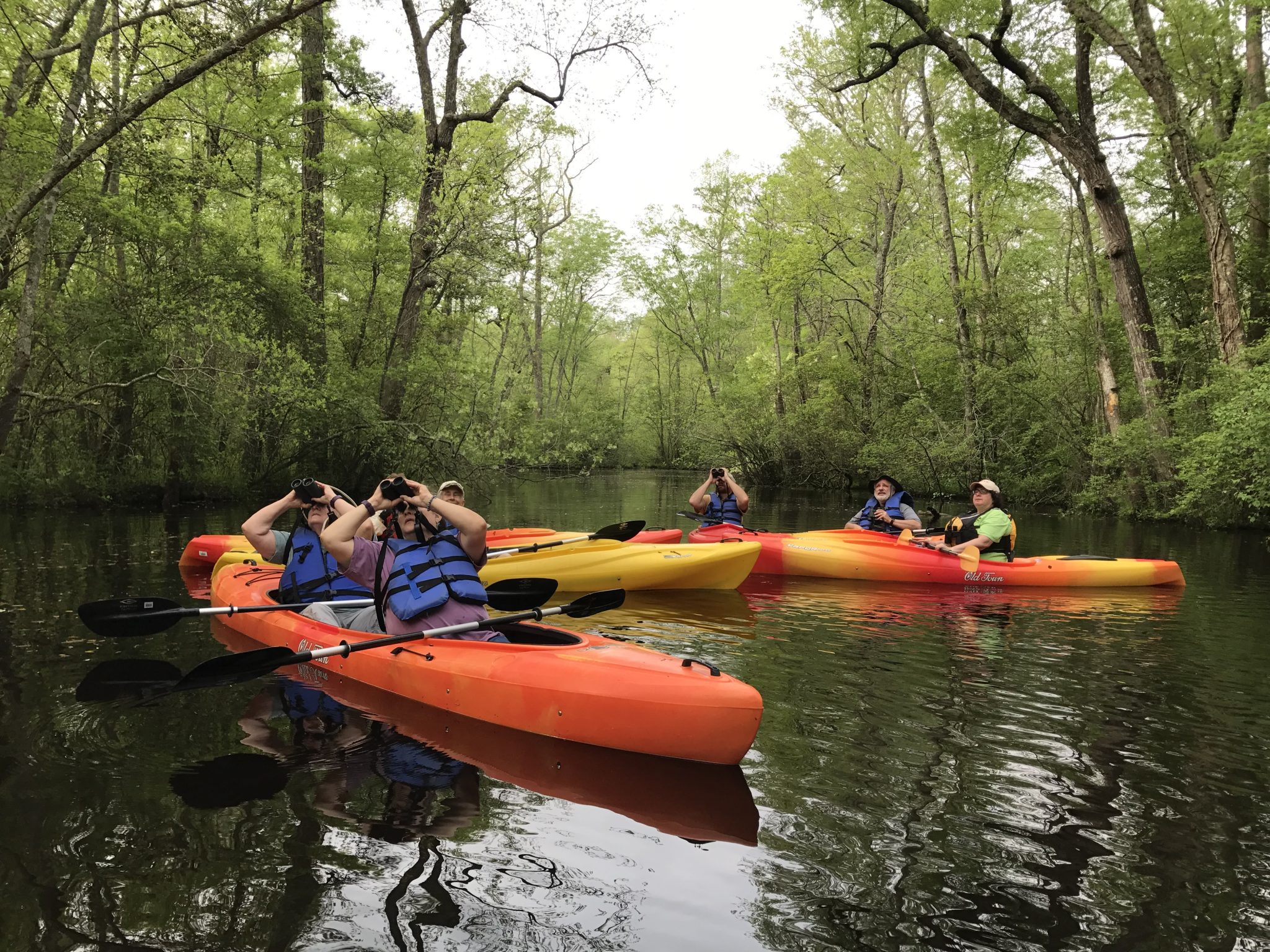 Explore region during Delmarva Birding Weekend - Worcester County News ...