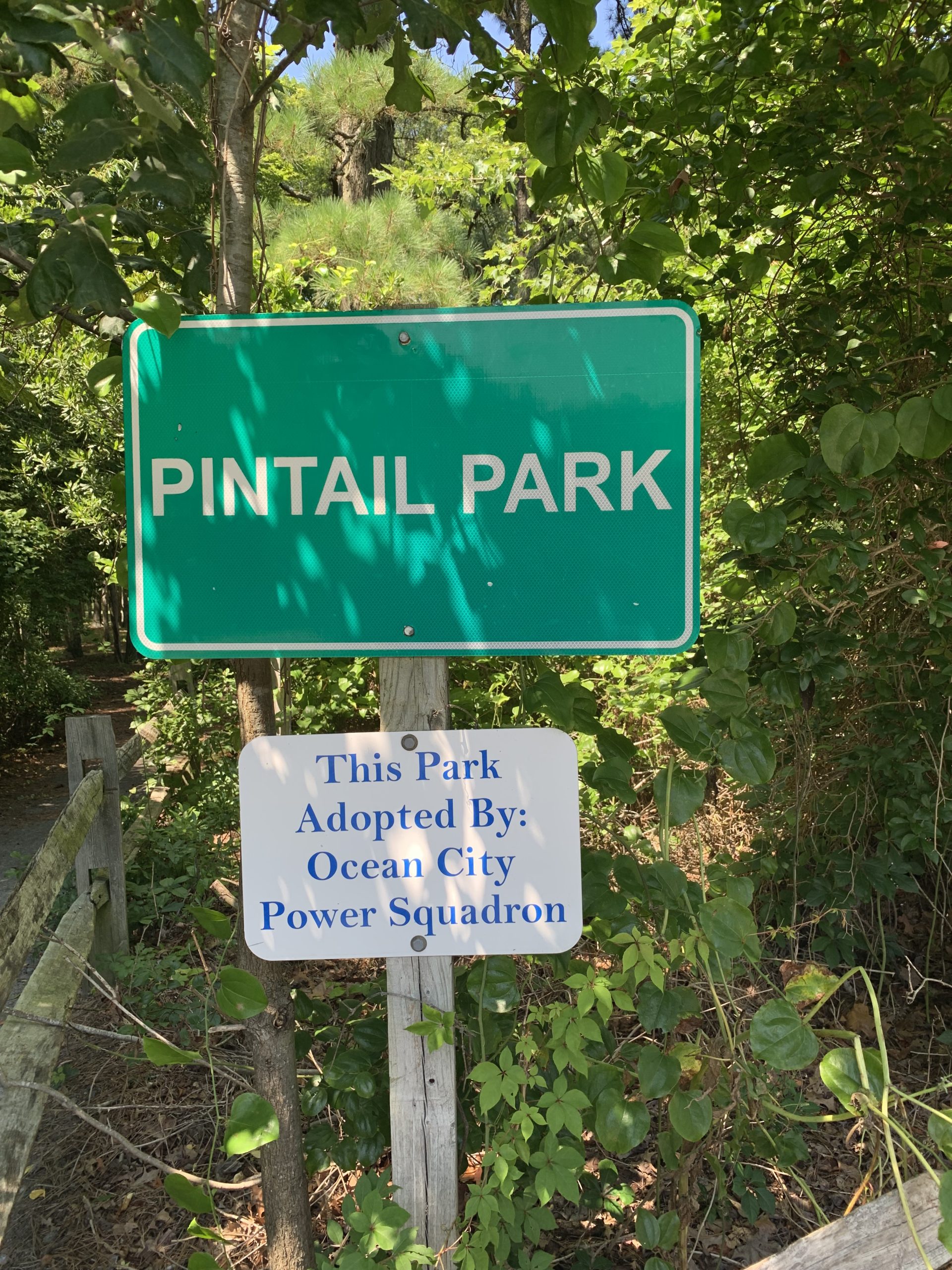 Adopt A Park Program In Op Helps Enhance Community Worcester County