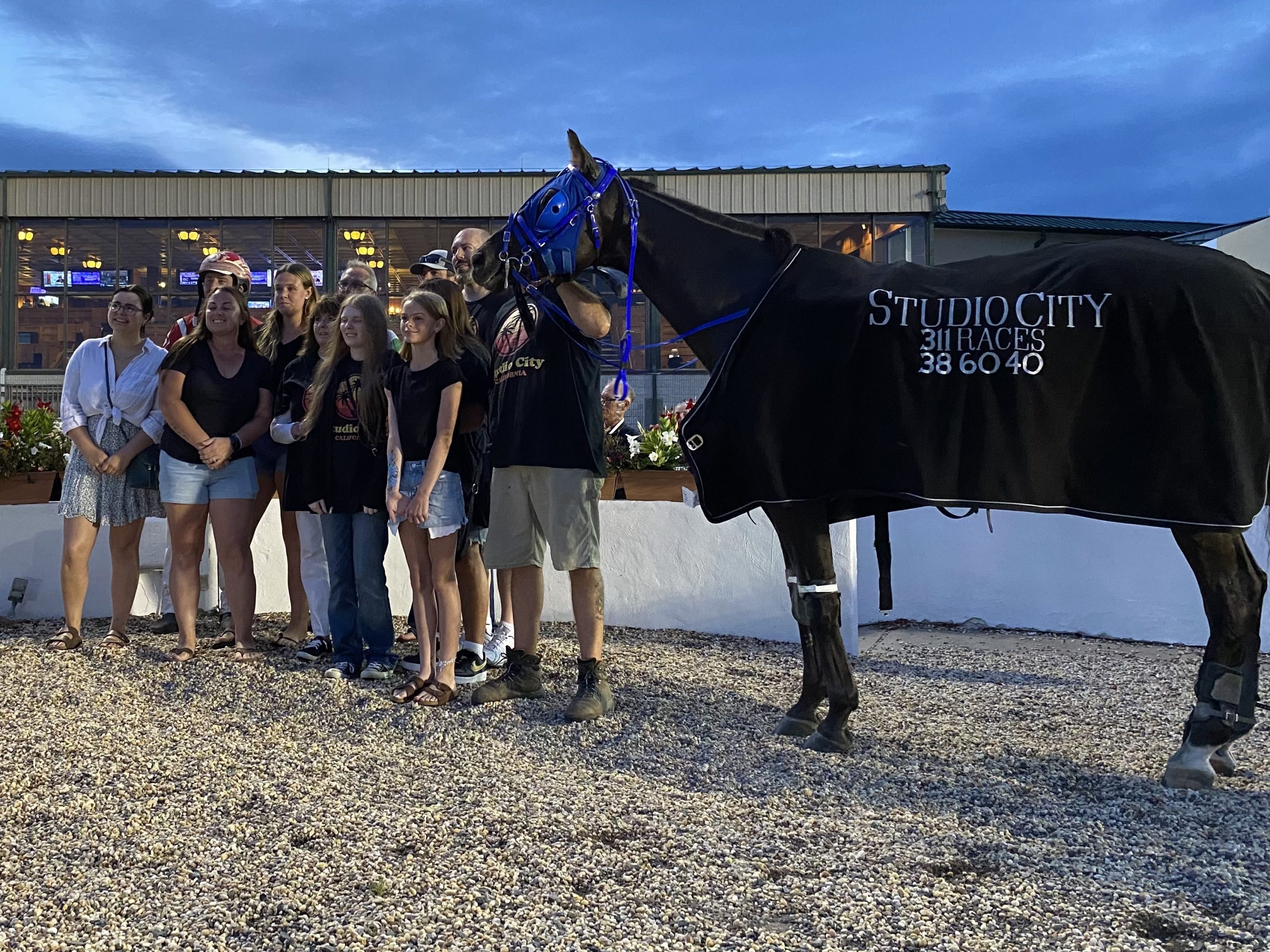 Stallion Studio City runs final race - Worcester County News Bayside ...